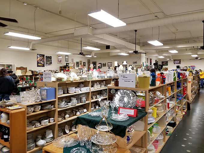 Dish heaven! Row after meticulous row of glassware and ceramics stand ready for their second act in new homes across Indiana.
