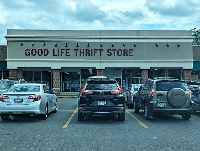 Welcome to bargain paradise, where your wallet can finally exhale and your cart can dream big.