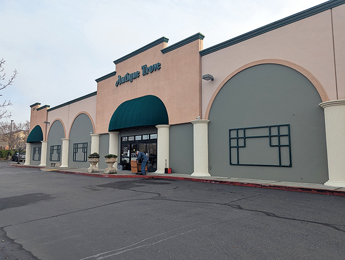 The beige exterior with distinctive green awnings might seem unassuming, but inside awaits a treasure hunter's paradise that will make your inner collector rejoice.