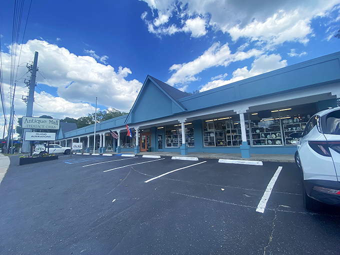 Under clear Carolina skies, this vintage hunter's paradise stands ready to welcome both serious collectors and casual browsers alike.