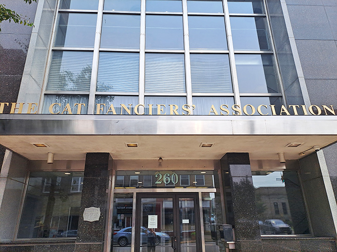 The Cat Fanciers' Association headquarters in Alliance, Ohio houses a feline paradise that even dog people can't help but appreciate.