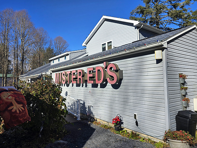 The colorful mural welcomes visitors with a visual feast of candy, elephants, and local history. Sweetest tradition indeed!