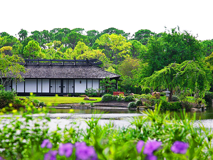 Where South Florida meets the Land of the Rising Sun, and nobody's complaining about the cultural whiplash.