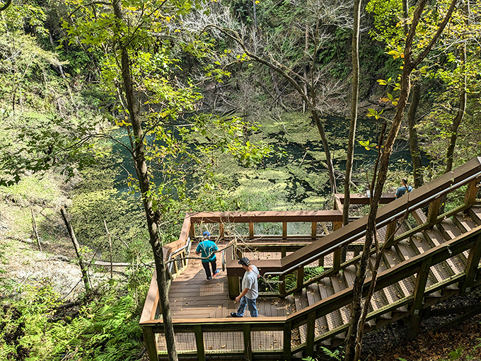 Nature's grand amphitheater awaits! The sinkhole's lush greenery creates a stark contrast to Florida's typical landscape, like finding Seattle in the Sunshine State.