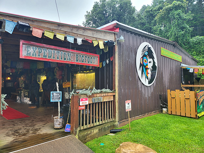 Another angle reveals the museum's full fa&ccedil;ade, complete with American flag and "MUSEUM" sign large enough for even a nearsighted Bigfoot to read from the forest.