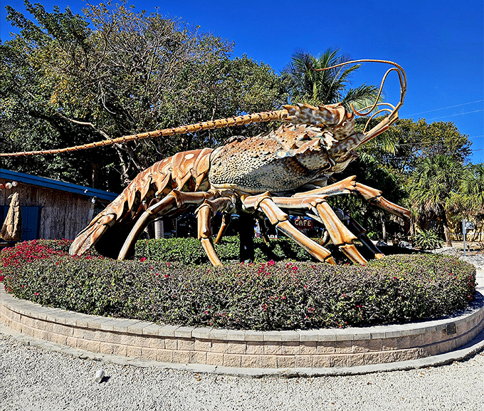 Betsy the Lobster stands proudly against the Florida sky, her massive antennae reaching skyward like she's trying to catch alien broadcasts from her crustacean homeland.