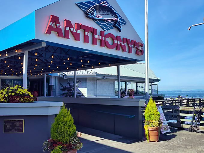 The iconic Anthony's sign welcomes seafood lovers like a maritime beacon, promising fresh catches and waterfront views that'll make your Instagram followers jealous.