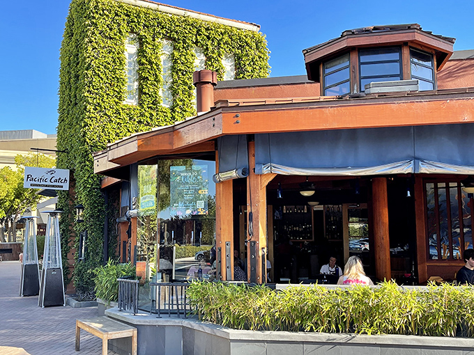 The ivy-draped exterior of Pacific Catch in Corte Madera feels like California's perfect answer to coastal dining&mdash;where nature and architecture embrace in delicious harmony.
