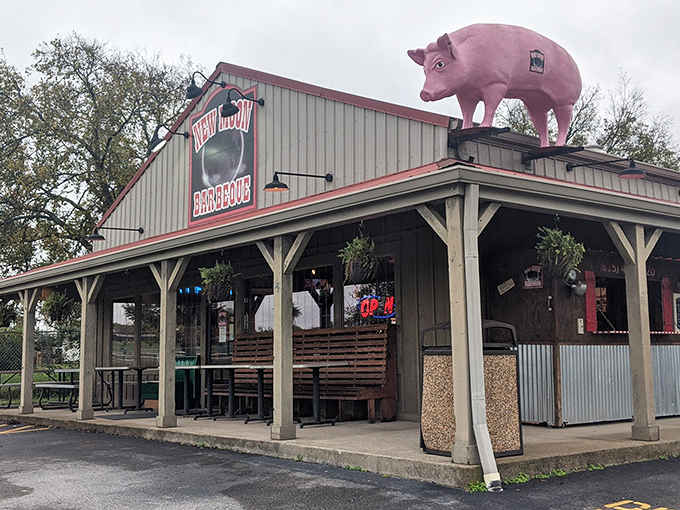 That pink pig on the roof isn't just decoration&mdash;it's a beacon of barbecue bliss calling hungry travelers to Lebanon's hidden gem.