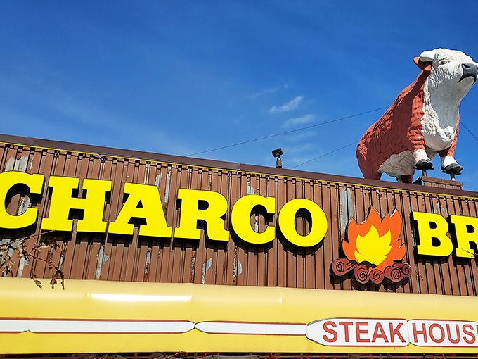 Look for the iconic steer perched atop that unmistakable yellow sign – like a bovine lighthouse guiding hungry Texans to beefy paradise.