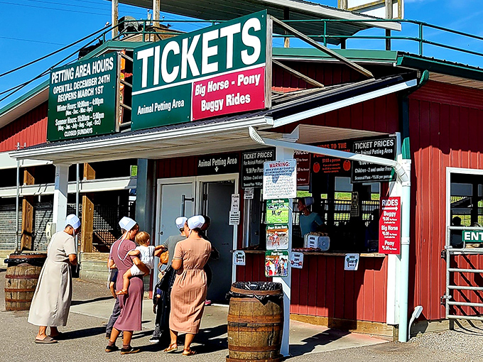 The iconic red barn of Hershberger's stands like a delicious mirage in Amish Country, promising sweet treasures within those weathered walls.