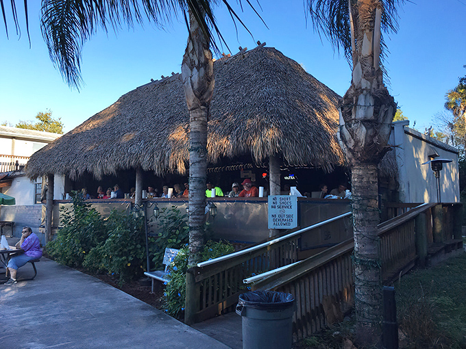Thatched-roof paradise or seafood speakeasy? The Freezer's palm-fringed patio invites you to kick back where the only dress code is "hungry."