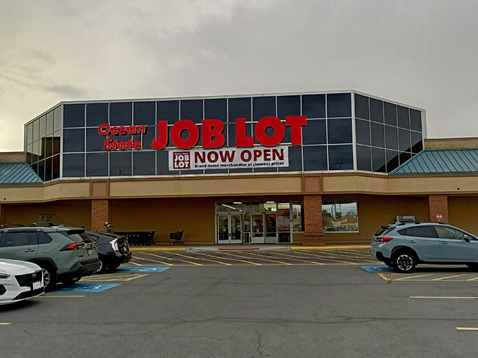 The "NOW OPEN" banner beckons bargain hunters to this retail wonderland where treasure hunting becomes an affordable sport.