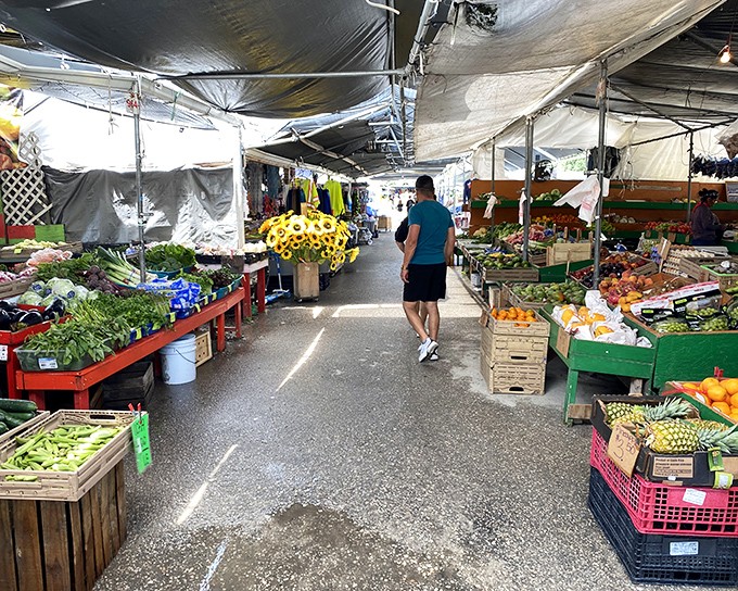 A produce paradise where Florida's bounty shines. Vibrant citrus, emerald limes, and farm-fresh vegetables create a rainbow of possibilities for tonight's dinner.
