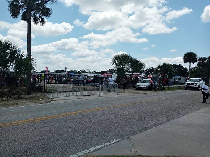 A treasure hunter's paradise under the Florida sun, where framed art and household items wait patiently for their second chance at love.