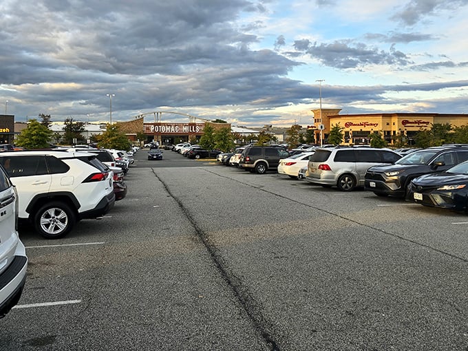 That moment when you realize the parking lot is practically a small city unto itself.