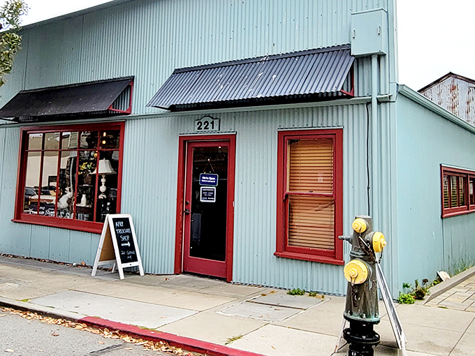 The mint-green building with cherry-red trim stands like a colorful beacon of bargains on Forest Avenue, promising treasures within its unassuming exterior.
