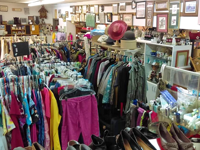 The unassuming exterior of Too Good To Be Through beckons like a siren song to bargain hunters. White walls, blue trim, and endless possibilities await inside.