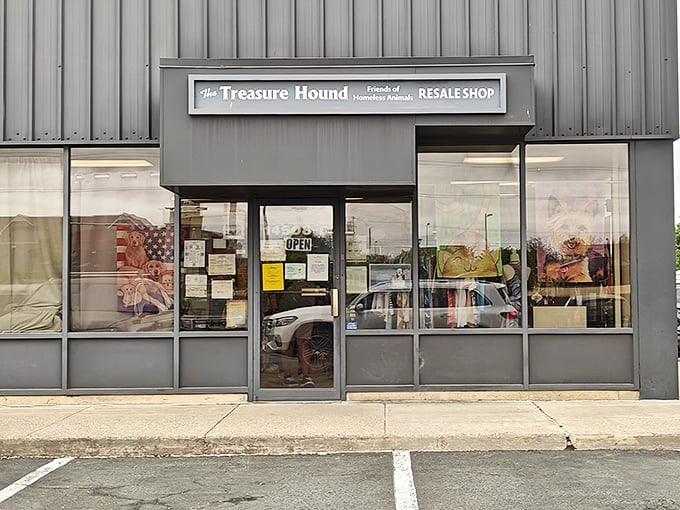 The unassuming exterior of The Treasure Hound belies the wonderland of secondhand treasures waiting inside. Like a thrift store TARDIS&mdash;bigger on the inside!