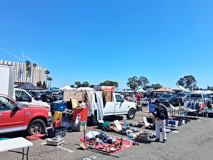 Treasure hunting begins at dawn! Vendors set up their wares under the perfect San Diego sky, where one person's castoffs become another's prized possessions.