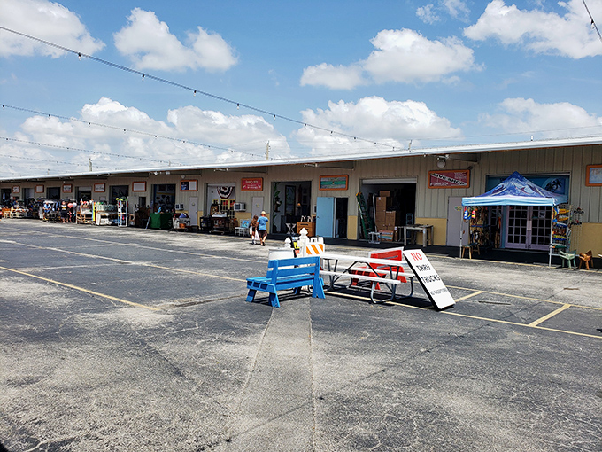 Rows of vendor stalls stretch into the distance under Florida's brilliant blue sky, promising treasures waiting to be discovered at every turn.