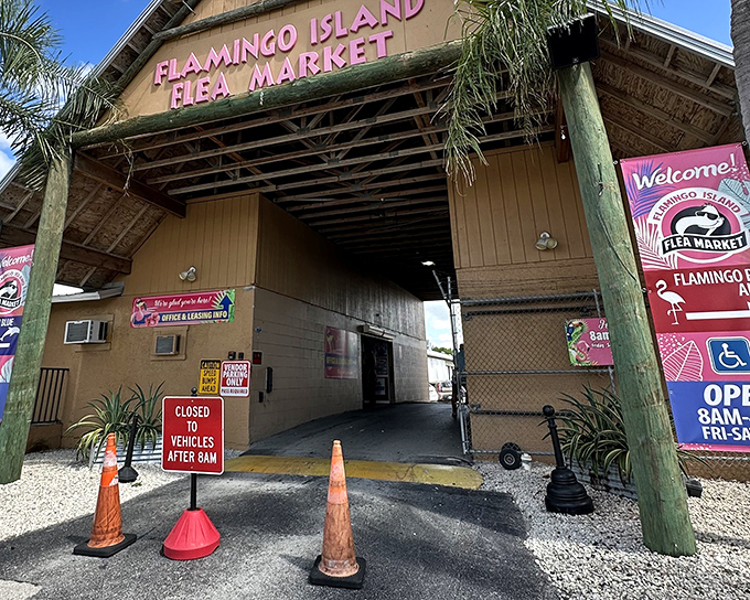 The iconic pink flamingo sign welcomes treasure hunters to this Bonita Springs institution, where Florida's version of retail therapy awaits behind those palm-flanked doors.