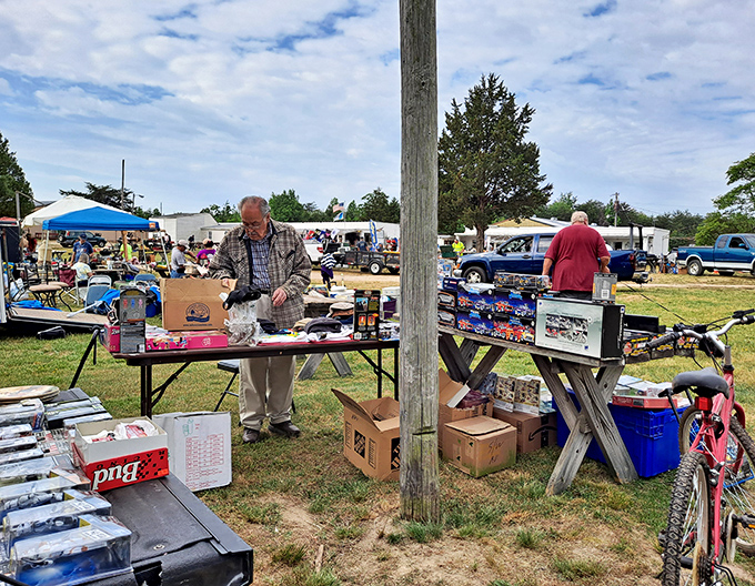 The great outdoors becomes a marketplace under Virginia's blue skies. Vendors unpack their wares while early birds circle for first dibs on hidden gems.