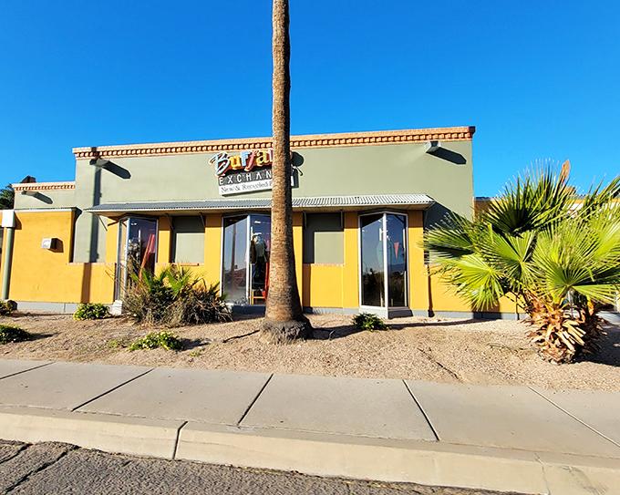 The unmistakable yellow exterior of Buffalo Exchange stands out like a fashion oasis in the Tucson desert landscape.