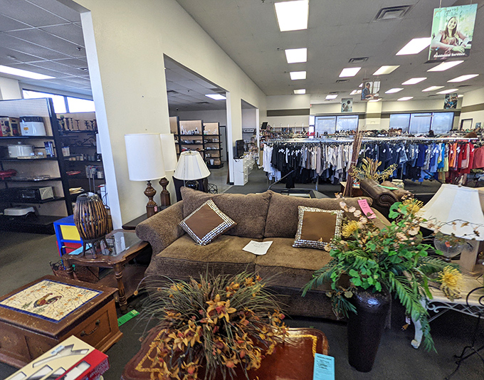 The desert sun casts long shadows across Angel View's unassuming facade, where behind these neutral walls lies a treasure hunter's paradise waiting to be explored.