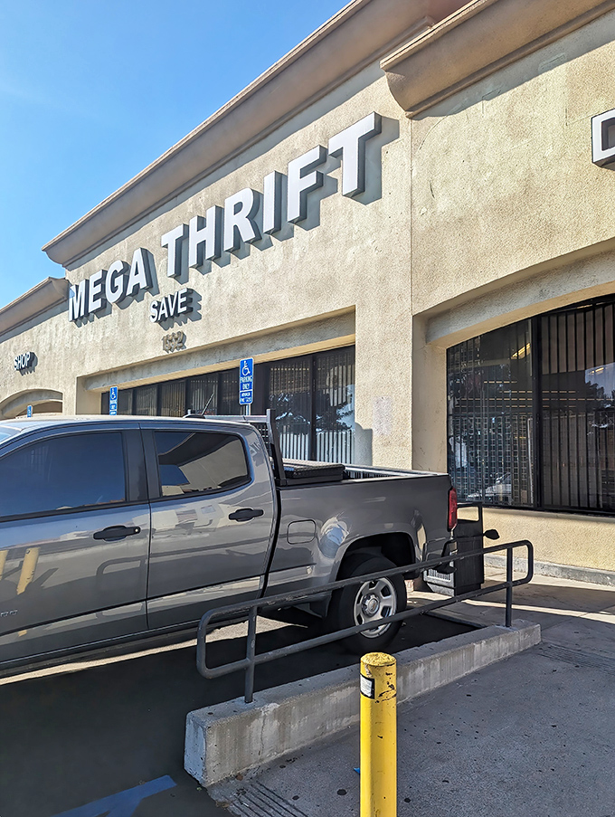 The unassuming exterior of Mega Thrift belies the treasure trove within. Like finding a five-star restaurant in a strip mall, appearances can be delightfully deceiving.