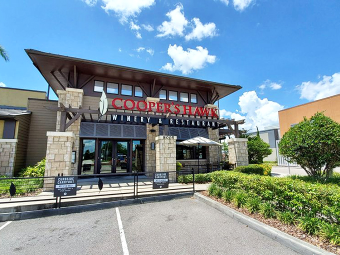 The stone facade of Cooper's Hawk stands like a wine country outpost that somehow landed in Orlando's tourist corridor. Napa Valley vibes in the Florida sunshine.
