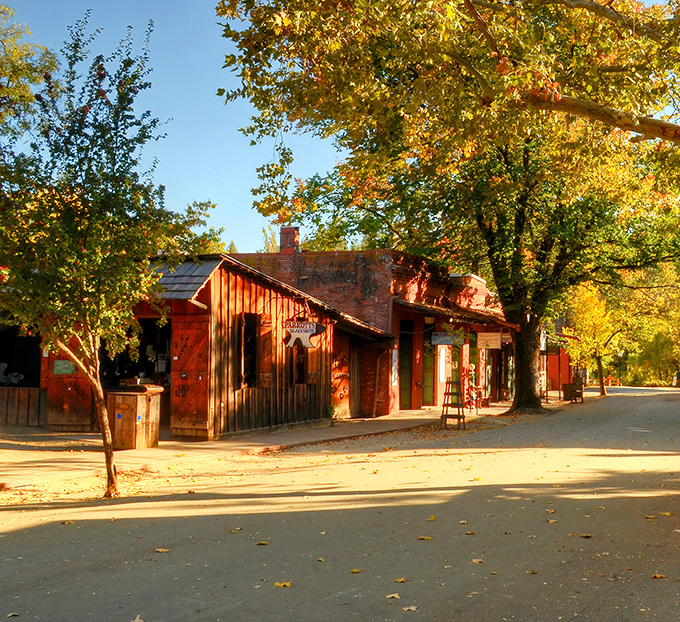 Sunlight warms the historic store, casting a golden glow on Columbia&rsquo;s timeless streets.