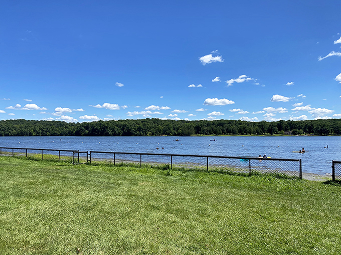 Pinchot Lake stretches out like nature's welcome mat, where Pennsylvania's blue skies meet crystal waters in a scene that makes smartphone wallpapers jealous.
