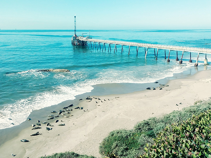 Wide stretches of golden sand meet endless blue horizons in this pristine coastal paradise.