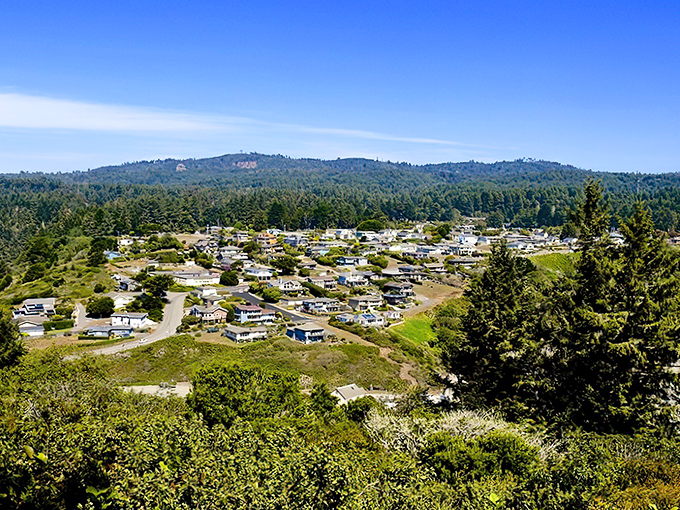 Trinidad's hillside homes cling to the coastline like spectators with front-row seats to nature's greatest show&mdash;the endless Pacific meeting California's rugged northern shore.