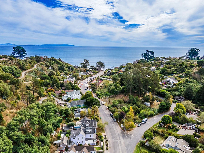 From above, Bolinas reveals its secret identity as a coastal hamlet that somehow escaped the clutches of modern California development.