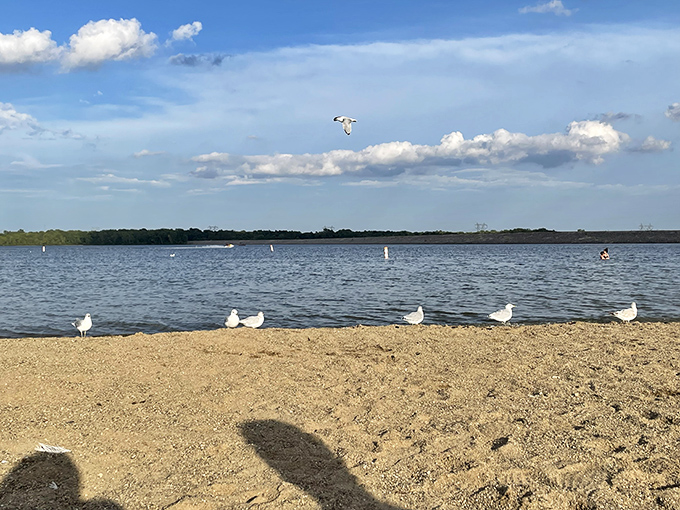 Paradise doesn't require a passport&mdash;just sunscreen and a cooler full of optimism at Alum Creek's sandy shores.
