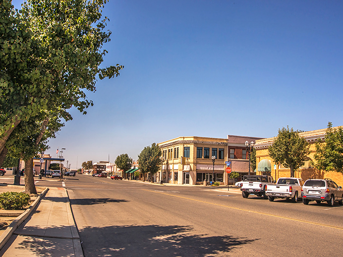 Selma's downtown stretches beneath that quintessential Central Valley blue sky, where historic buildings stand proudly alongside modern conveniences.