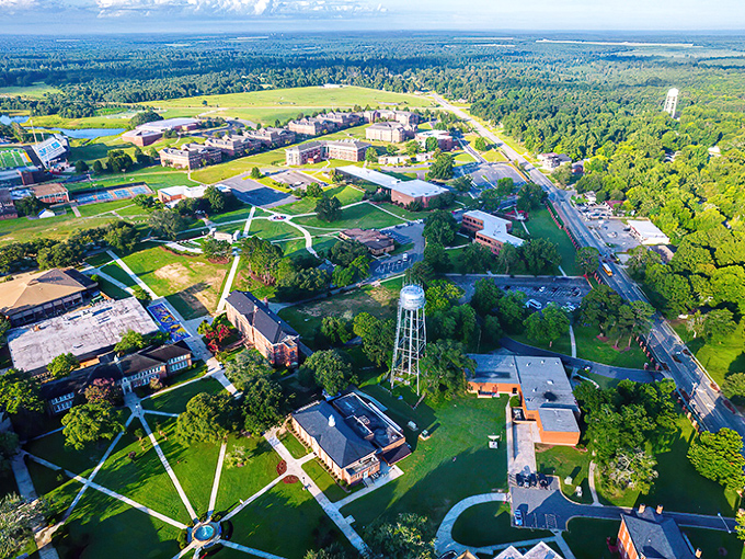 Fort Jones from above reveals its secret superpower: breathing room. The town sprawls gracefully among trees, with mountains standing guard like gentle giants.