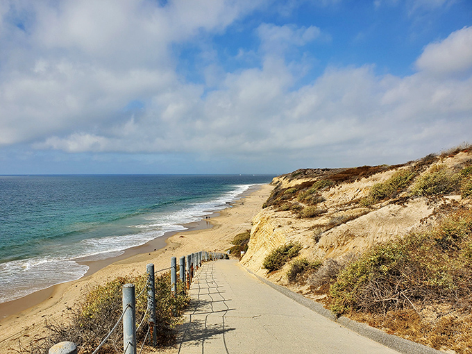 Nature's perfect balancing act: rugged cliffs on one side, endless Pacific on the other. This coastal path at Crystal Cove invites you to slow down and breathe.