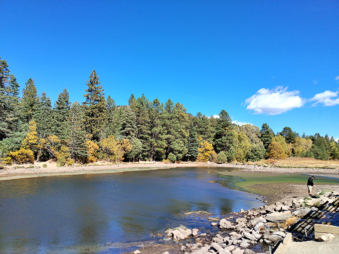 Mother Nature showing off again! The perfect blend of pine-covered mountains and open sky that makes you want to ditch your phone and breathe deeply.