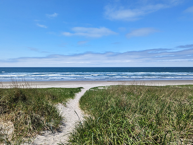 Sandy pathways through windswept dunes lead to ocean paradise&mdash;nature's version of the red carpet, minus the paparazzi and uncomfortable shoes.