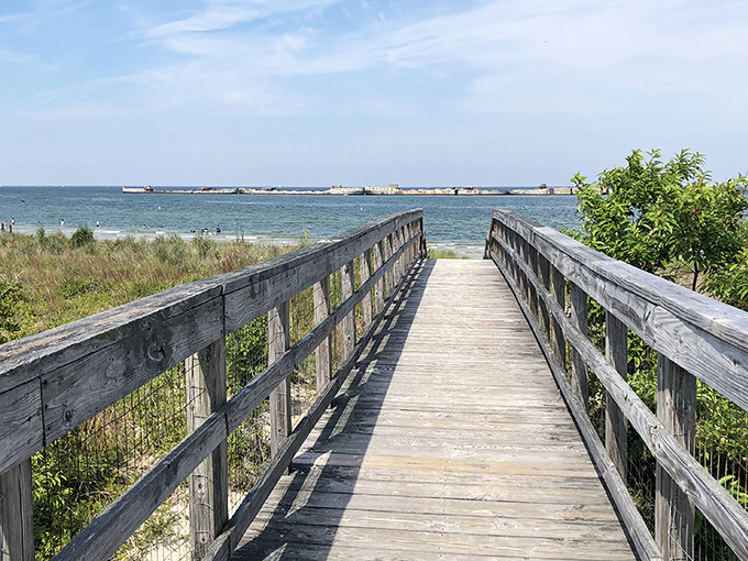Nature&rsquo;s own playground at Kiptopeke. The kind of boardwalk that makes you forget your phone password while exploring every corner of its charm.