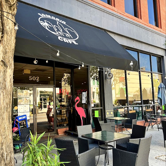 Step inside this downtown Tampa treasure where Mediterranean meets American breakfast tradition perfectly.