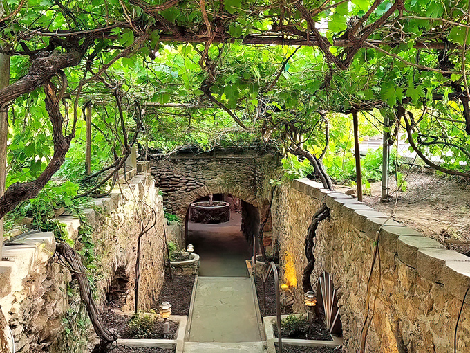 Trees reaching skyward from stone planters&mdash;nature finding a way even underground. Baldassare's genius was creating spaces where life thrives beneath the earth.