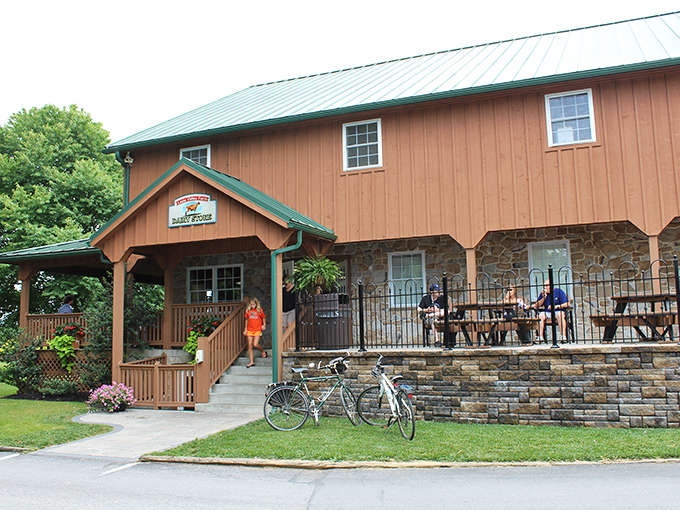 The rustic charm of Lapp Valley Farm's exterior isn't just Instagram-worthy—it's a portal to dairy nirvana that's been hiding in plain sight all along.