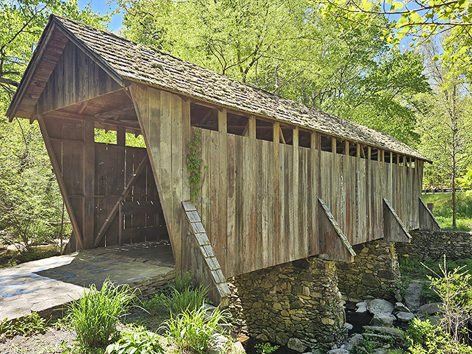 The Pisgah Covered Bridge emerges from the forest like a scene from a beloved American painting. 