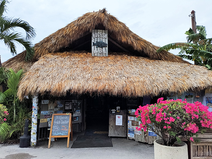 Thatched roof paradise! The palm-frond canopy and vibrant bougainvillea create the perfect "I've escaped civilization" vibe that every Florida getaway demands.