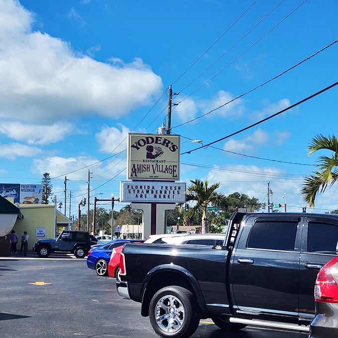 The sign says it all: "Now serving fresh blueberry cream pie." In Florida, this isn't just information&mdash;it's a call to action that demands immediate attention.