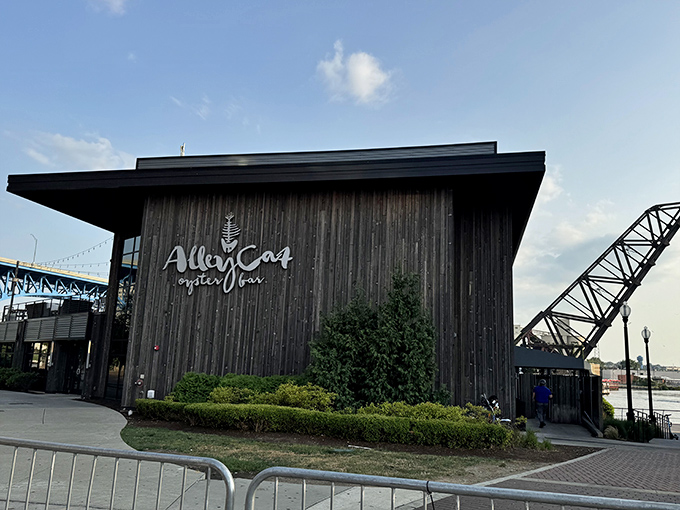 The perfect marriage of industrial chic and waterfront charm, Alley Cat's exterior stands proudly beneath Cleveland's iconic blue bridge, like a love letter to the city's renaissance.
